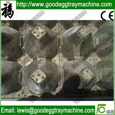 Mould / Die / Mold / Tool of Egg Tray Machine