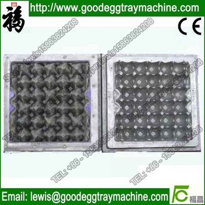 Plastic egg tray mold paper egg tray molding products with CE approval