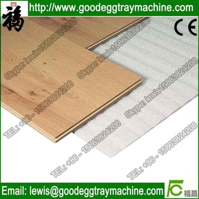 Single-Screw Extruder Foam Sheet/board/pipe/net Machine(FCFPM-105)