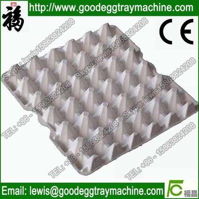 egg carton plup moulding machine