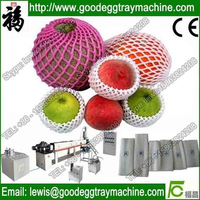Fruit or vegetables packaging Net extruder