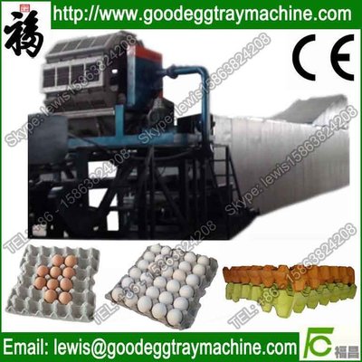 Paper Pulp Moulding Machine