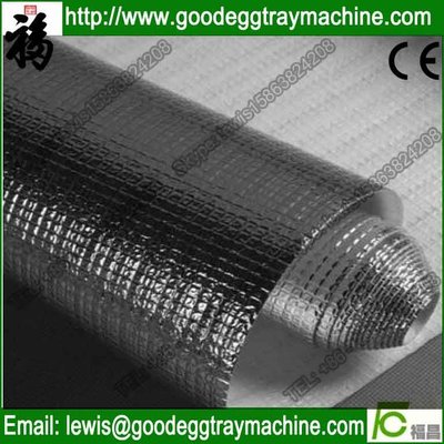 EPE Foam Sheet Coating/Laminating Machine