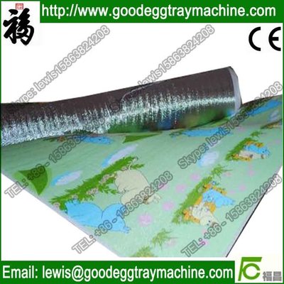 EPE Foam Sheet Coating/Laminating Machine