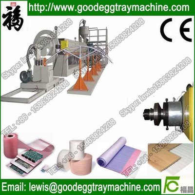 Location fix pacakge EPE Foam Sheet Extrusion Plant(FCFPM-120)
