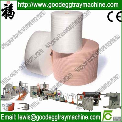 Location fix pacakge EPE Foam Sheet Extrusion Plant(FCFPM-120)