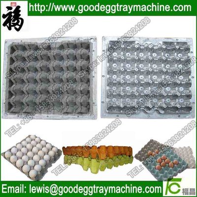 Factory custom injection mold for egg tray