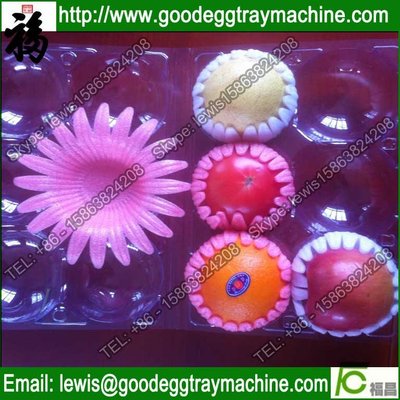 New type fruit net packing like flower petal for Apple packing