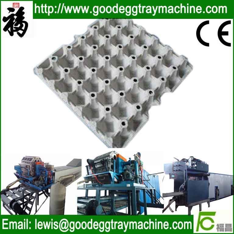 Egg tray plant