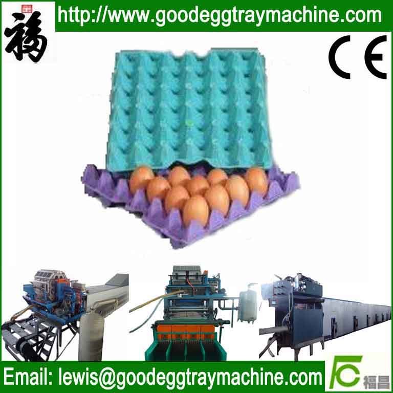 Egg tray plant(FC-ZMG6-48)