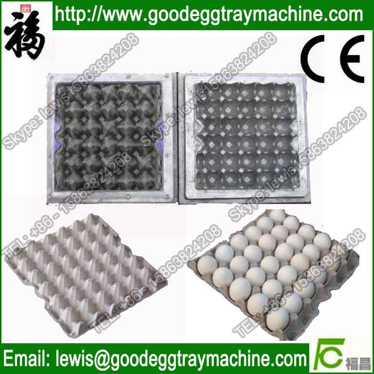 Paper Pulp Mold