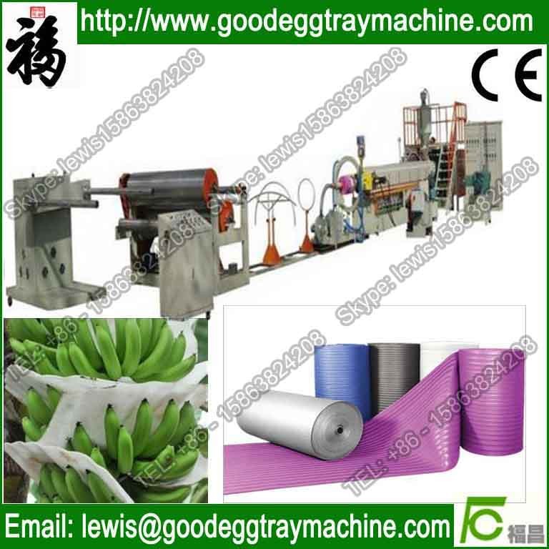 Location fix pacakge EPE Foam Sheet Extrusion Plant(FCFPM-170)