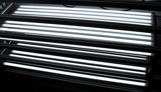 CE RoHS SMD3528 LED Fluorescent Tubes , Energy Saving 1500mm Led T8 Tube