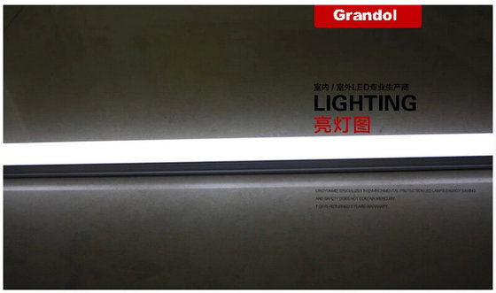 Super Bright T8 Led Tube Light CE RoHs 0.6m 10 Watt SMD2835