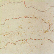 Maguey White Marble Bathroom Wall Tiles Surface Polished Design