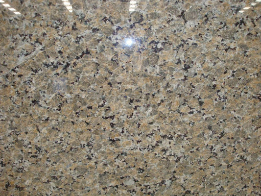 Butterfly Beige Granite Stone Slabs , Engineered Granite Countertops