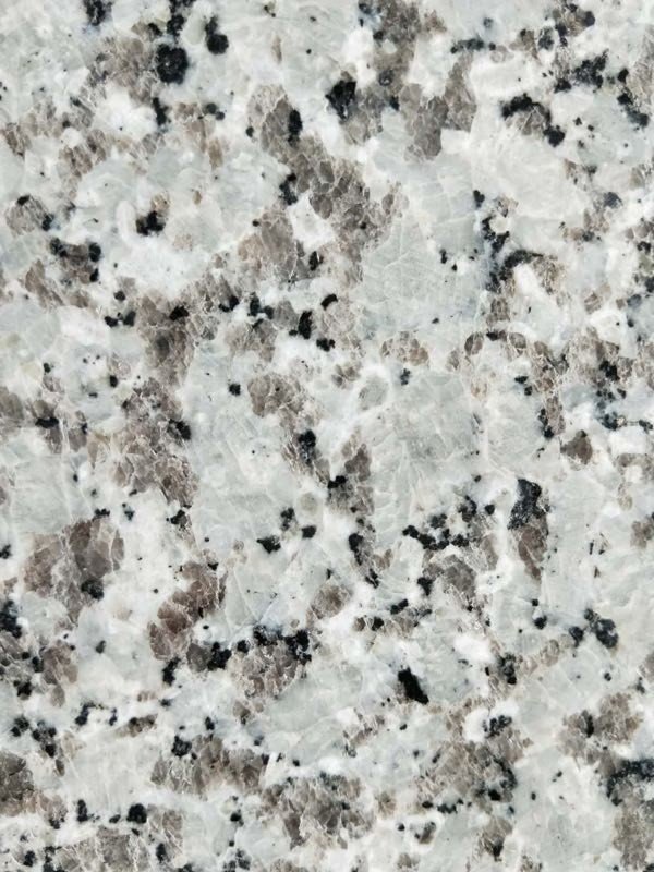 Decorative Granite Stone Tiles / White Galaxy Granite Floor Tiles