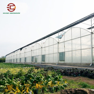 Hot sale gothic plastic film multi-span greenhouse with irrigation system