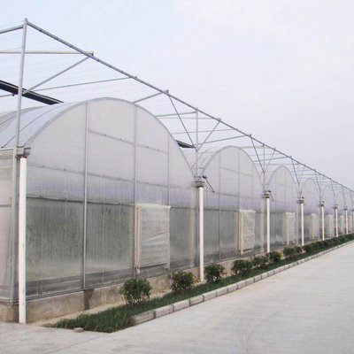 Hot sale polytunnel strawberry growing greenhouse with roof ventilation