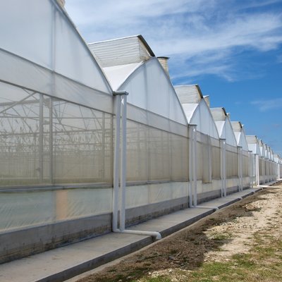 Hot sale polytunnel strawberry growing greenhouse with roof ventilation