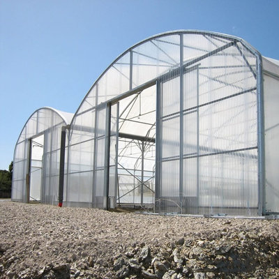 Agricultural multi-span hydroponic greenhouse with cooling and ventilation