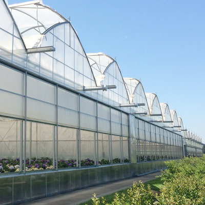 Agricultural multi-span hydroponic greenhouse with cooling and ventilation