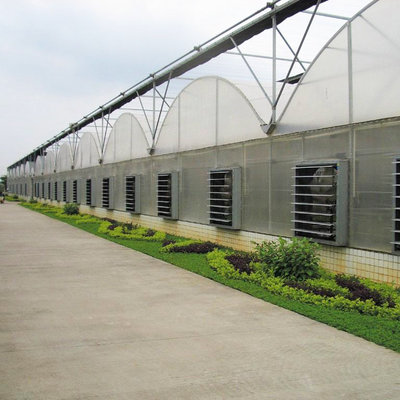 200 micron film covering tropical greenhouse with roof ventilation