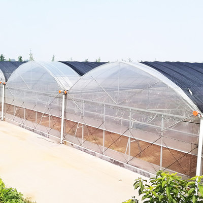 200 micron film covering tropical greenhouse with roof ventilation