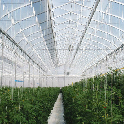 200 micron film covering tropical greenhouse with roof ventilation