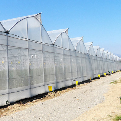 200 micron film covering tropical greenhouse with roof ventilation