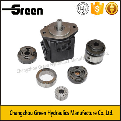 hydraulic vane pump for T6C-020 -1r00  cheap rotary vane pump