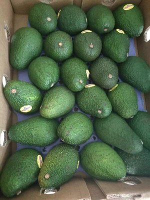 organic avocado powder