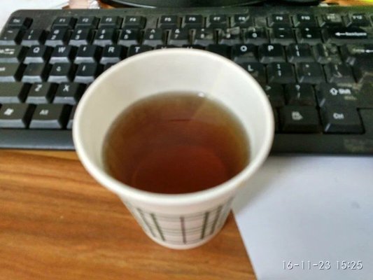 Cistanche Tubulosa Extract With Echinacoside 30% and 50% powder