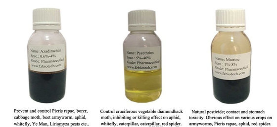 Natural Plant extract 98%tc Biological insecticide and Pesticide Matrine