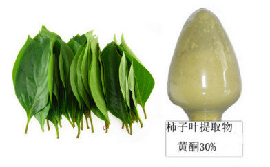 100% Nature Flavonoid 5%-40% UV Persimmon Leaf Extract powder