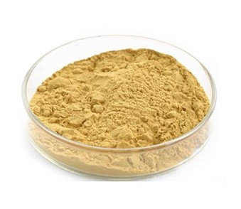 100% raw material bulk ginkgo biloba extract 24/6 powder