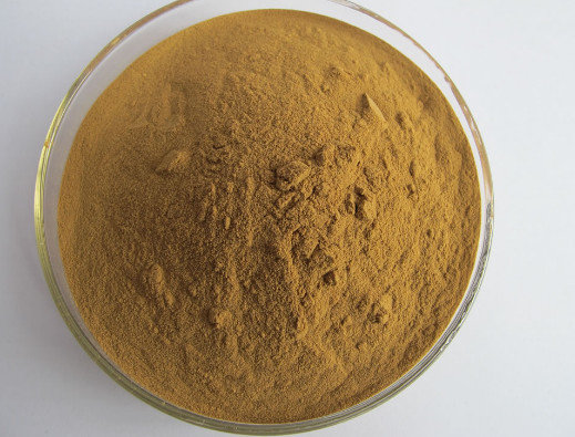 Weeping Forsythia Extract 2% Phillyrin for bodybuilding supplements