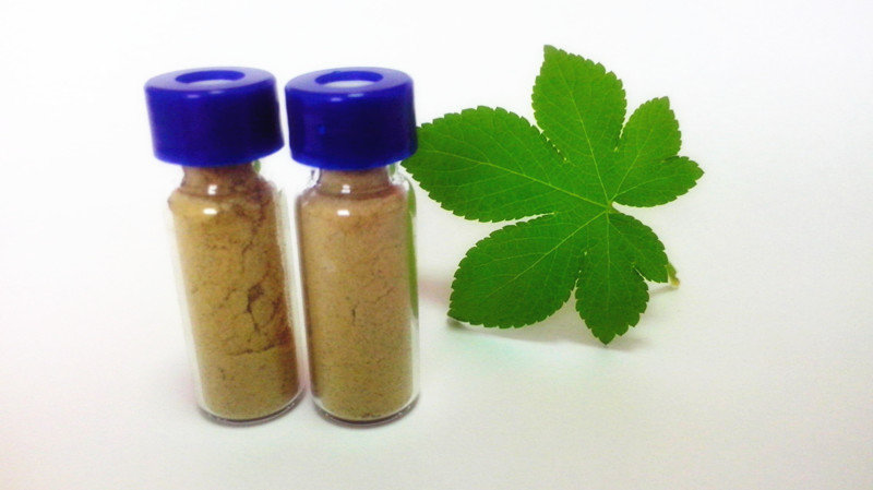 100%Pure Natural Apitoxin/Bee Venom For Anti-AIDS(MLT)CAS 20449-79-0