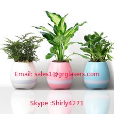 China Speaker Mini Home Smart Plant Toy light music Smart Touch Plant Piano Music Playin With  from grgheadsets.aliexpress.com supplier