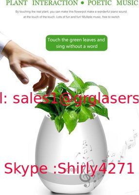 Speaker Mini Home Smart Plant Toy light music Smart Touch Plant Piano Music Playin With  from grgheadsets.aliexpress.com supplier