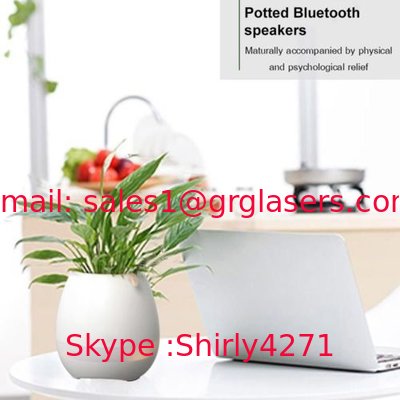 Speaker Mini Home Smart Plant Toy light music Smart Touch Plant Piano Music Playin With  from grgheadsets.aliexpress.com supplier