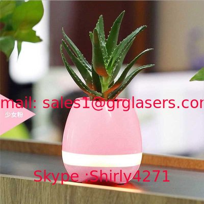 Speaker Mini Home Smart Plant Toy light music Smart Touch Plant Piano Music Playin With  from grgheadsets.aliexpress.com supplier
