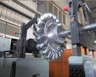 Long life Pelton Turbine Generator