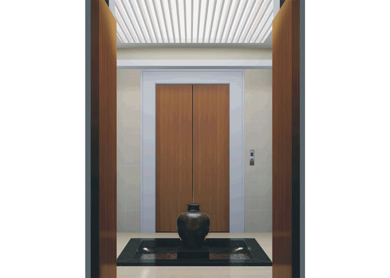 375kg Capacity House Lifting MAX- H375- 2S0 Model Energy-saving and environment-friendly