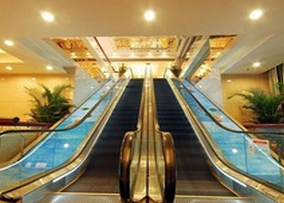 Brand new indoor escalator with motor overload protetor   -- GRF
