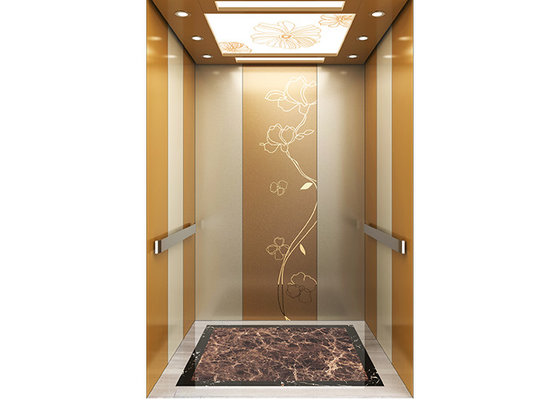 Power with cleanness and quiet  Mini-machine room passenger elevator of Guangri
