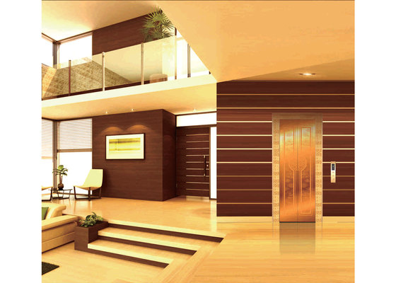 Redundancy protection House Elevator 320kg Capacity G.Wiz-H320-2S0.4 Model