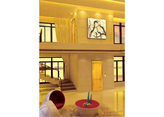 Redundancy protection House Elevator 320kg Capacity G.Wiz-H320-2S0.4 Model