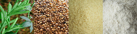 Oil Drilling Fluid Super Grade Hydroxypropyl Guar Gum HPG , Light Yellow Powder