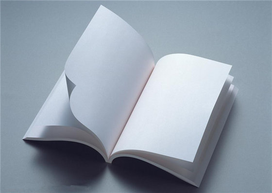 Non-toxic Paper Making Industrial Guar Gum Fast Hydration Thickening Polymer
